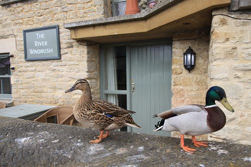 Lechlade Accommodation/Bed/Breakfast/Swindon | Riverside Pub, Lechlade ...