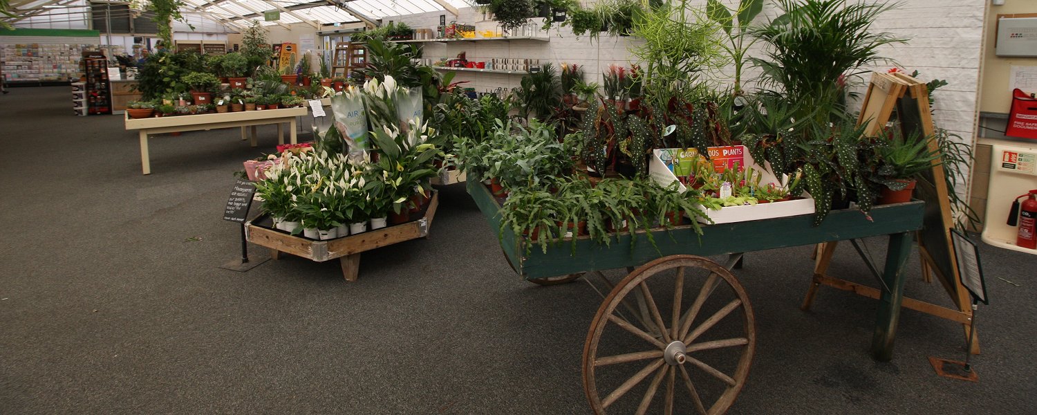 Family Days out Wiltshire Swindon | Butterfly World Craft Village M4 ...