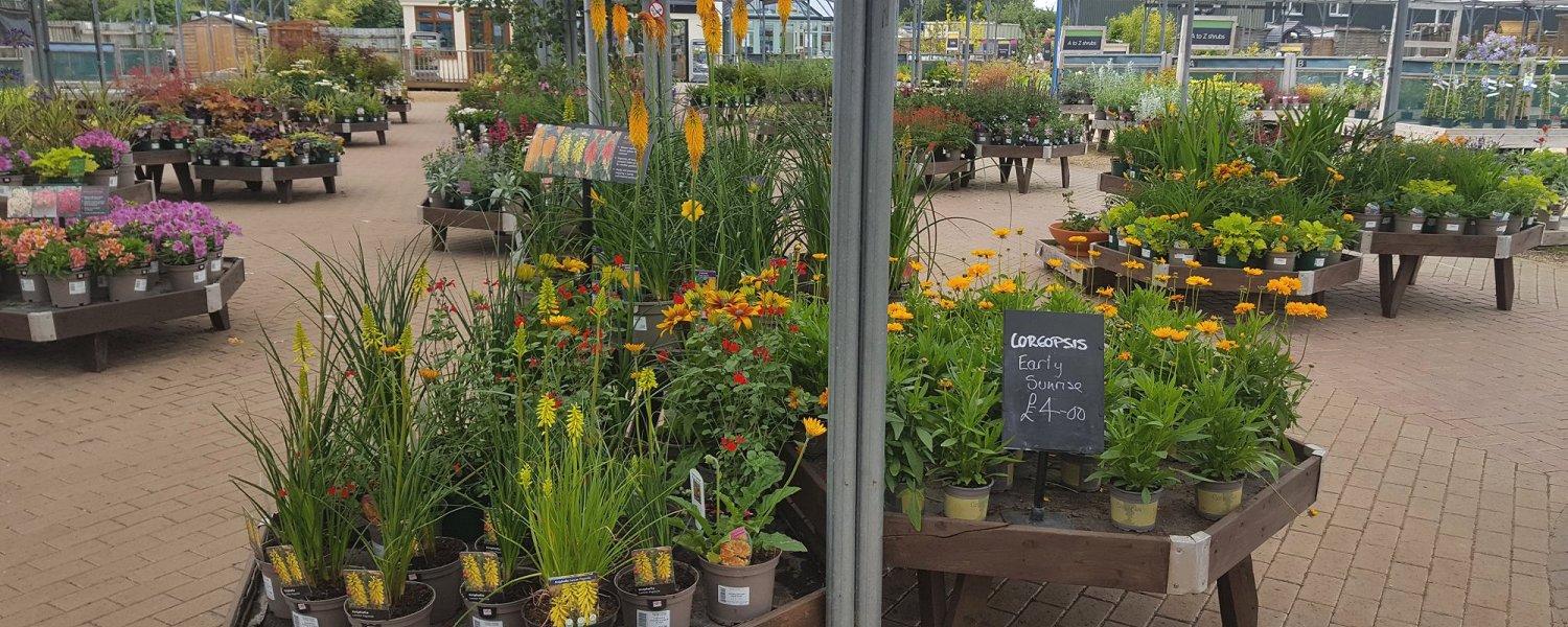 Family Days out Wiltshire Swindon | Butterfly World Craft Village M4 ...