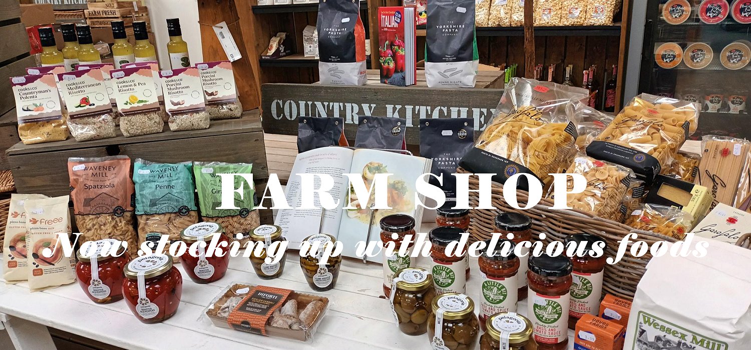 Family Days out Wiltshire Swindon | Butterfly World Craft Village M4 ...